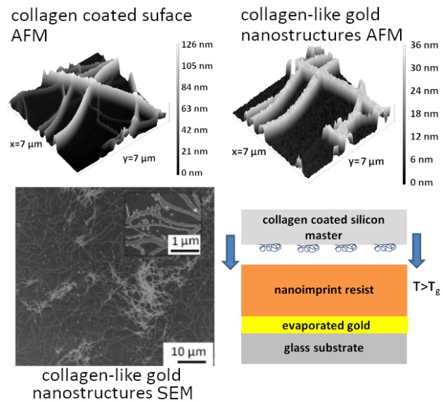 Startseite - Hochschule Kaiserslautern